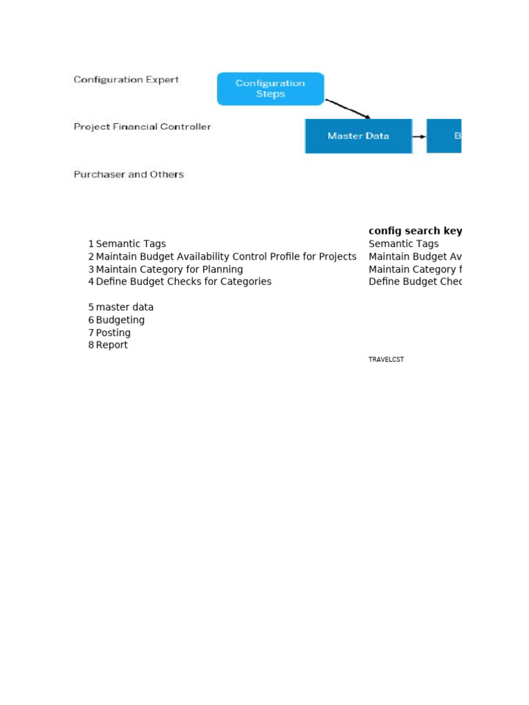 SAP Budget Control Guide | PDF