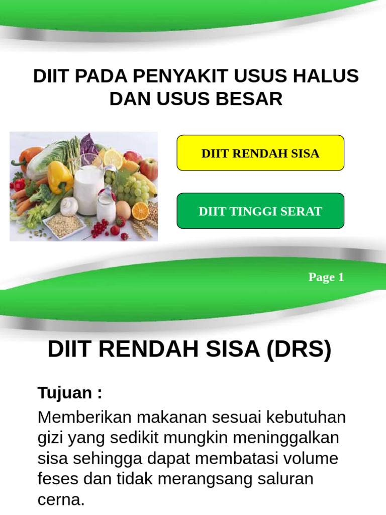 Diit Pada Penyakit Usus Halus Dan Usus Besar | PDF