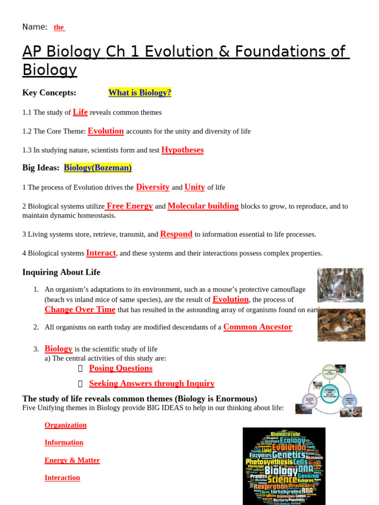 ch 1 key | PDF | Cell (Biology) | Gene
