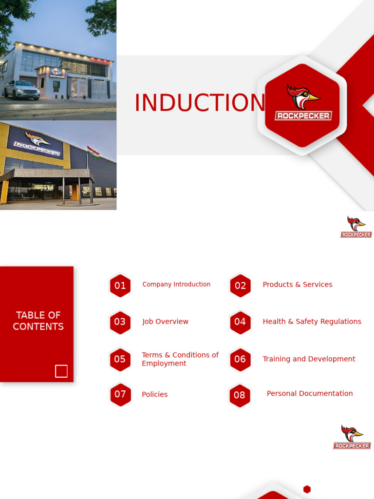 Induction Final (2) | PDF | Employment | Mentorship