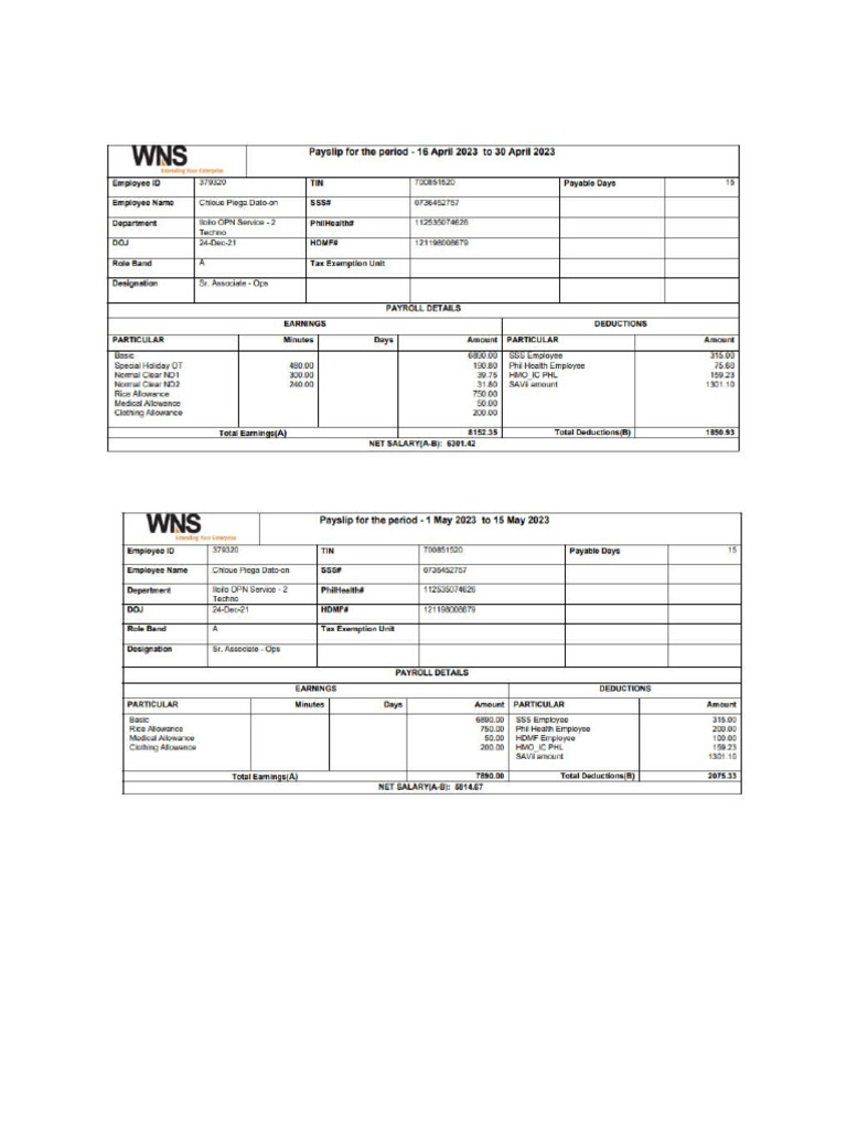 Payslip | PDF