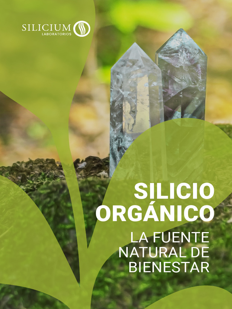 Beneficios del Silicio Orgánico en Salud | PDF | Alimentos | Piel