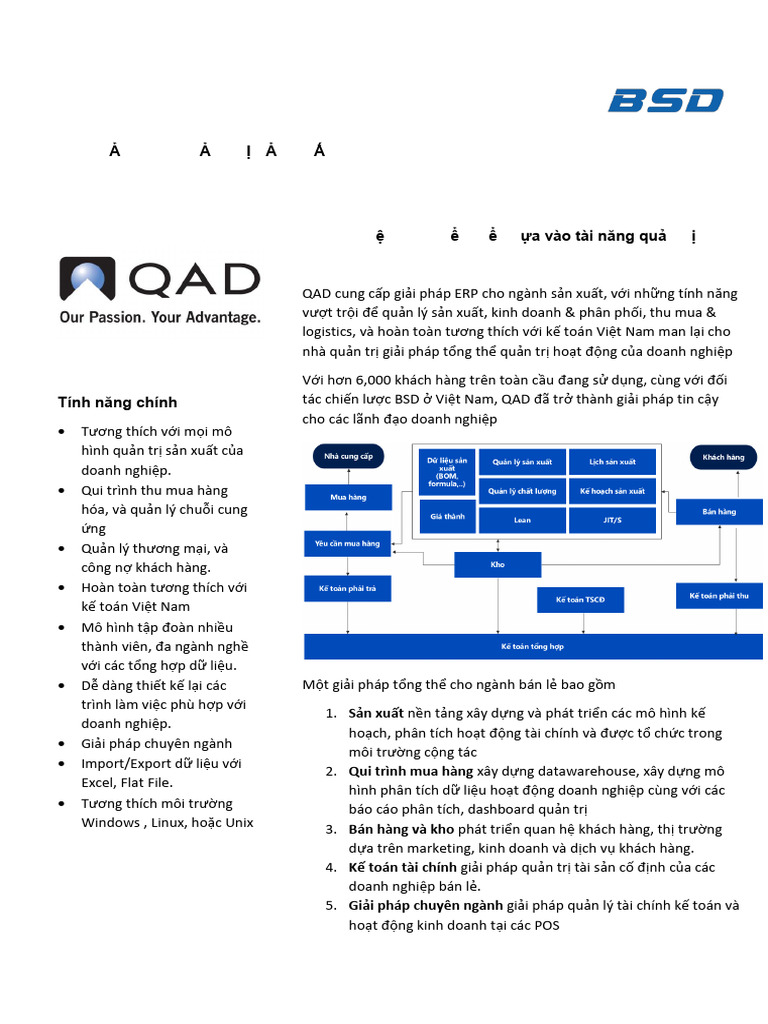 QAD Application Overview VN | PDF
