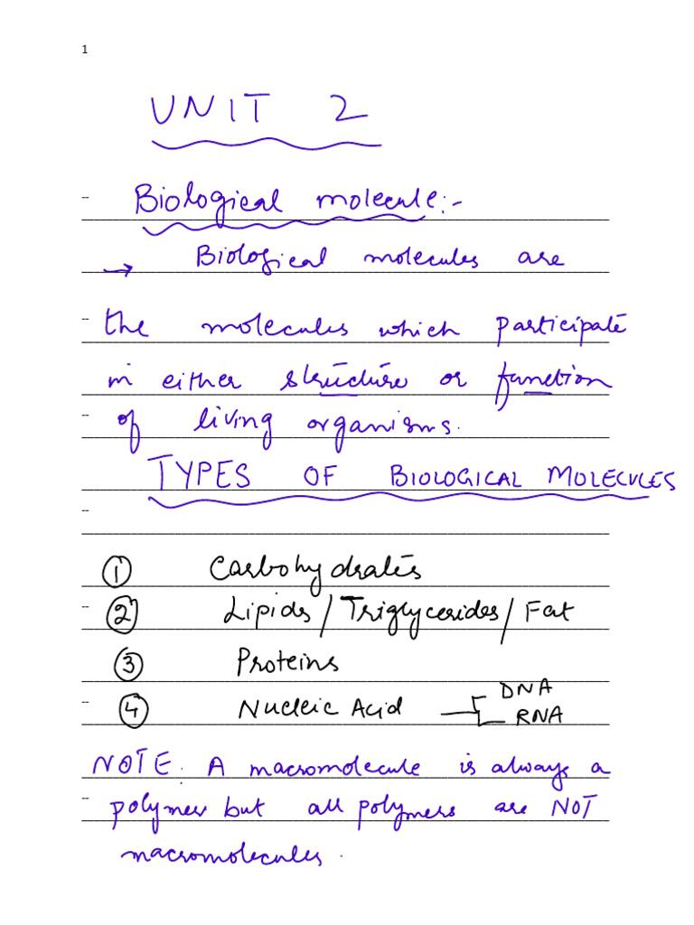 Carbs and Lipids 2025 | PDF
