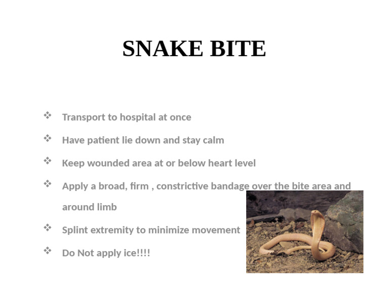 Snake Bite | PDF