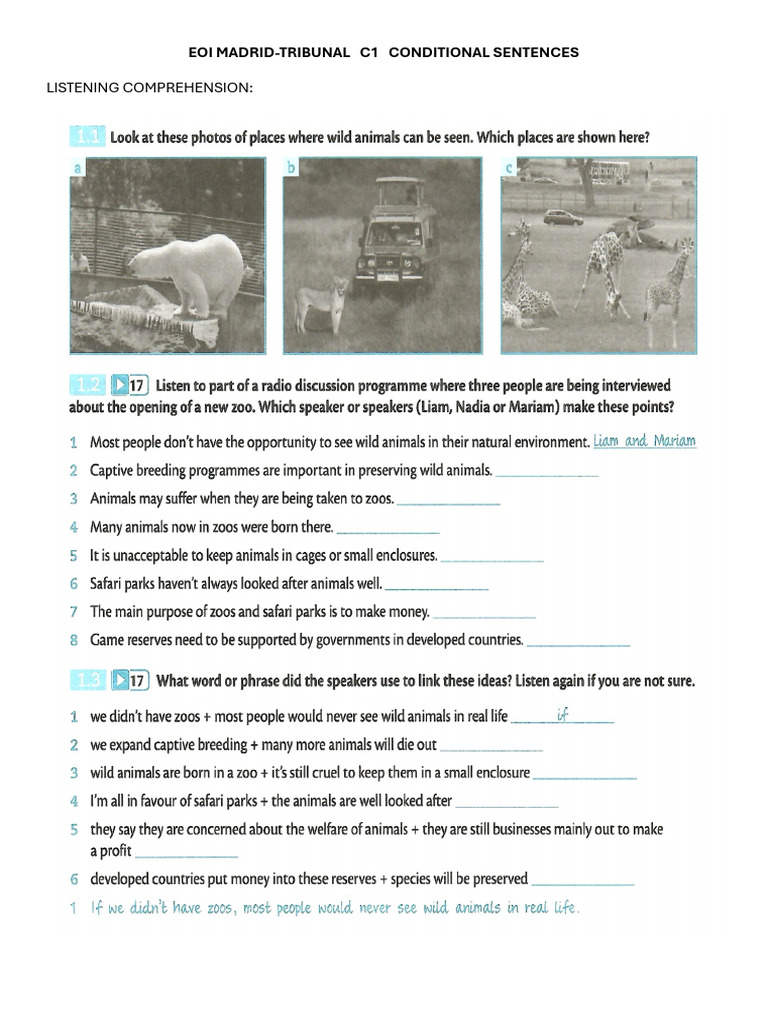 Conditional Sentences | PDF