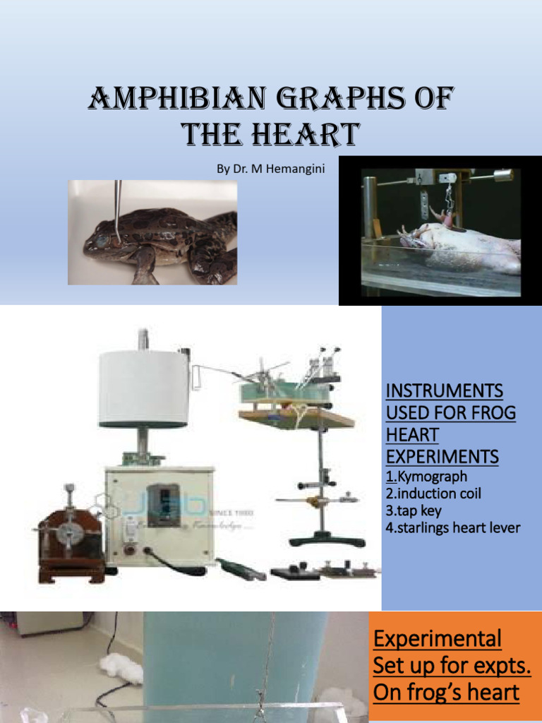 Amphibian Heart Graphs-1 | PDF | Heart | Vagus Nerve