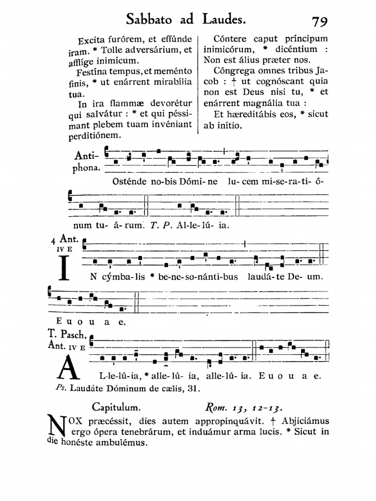 XT | PDF