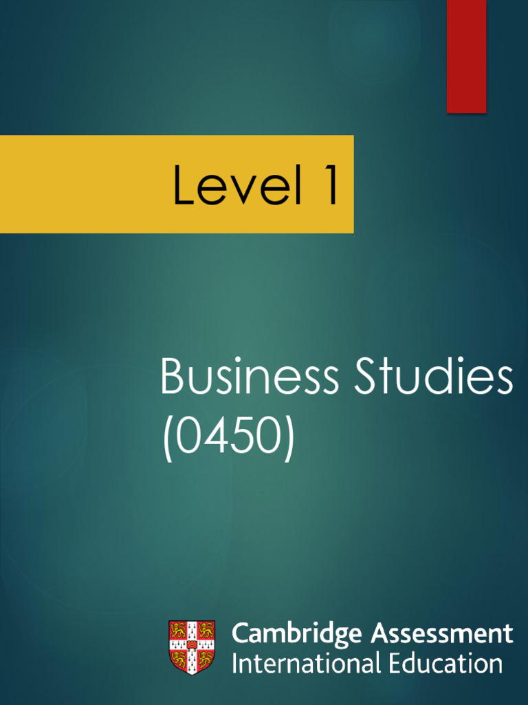 Business Studies Level 1 Video Resources | PDF