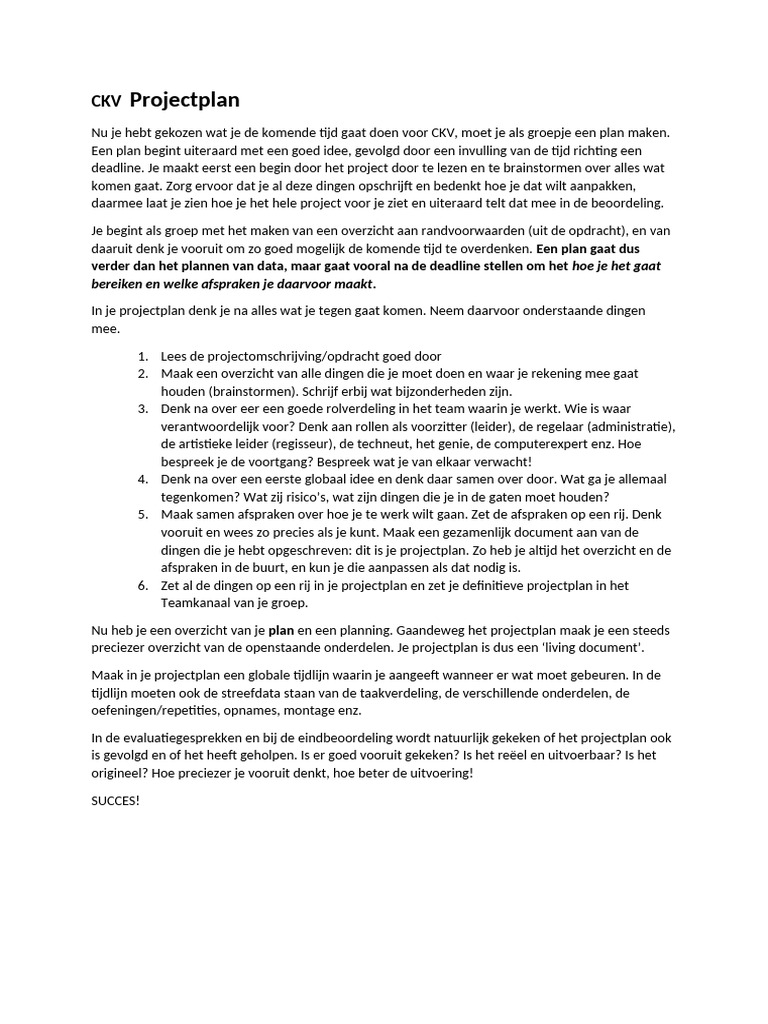 CKV Projectplan | PDF