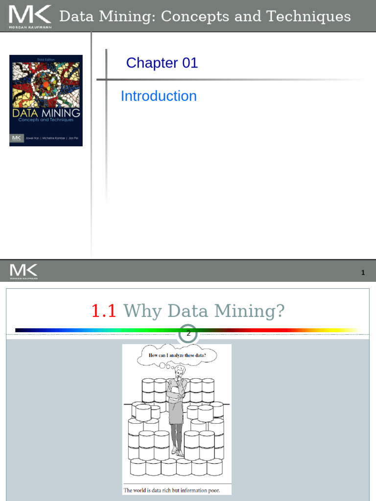 Ch 1 (2) | PDF | Data Mining | Data