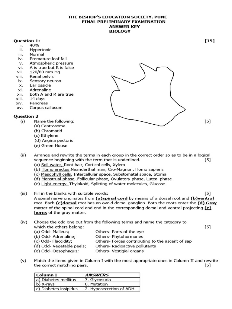 Biology Final Preliminary Examination - Answer Key | PDF | Hemoglobin ...