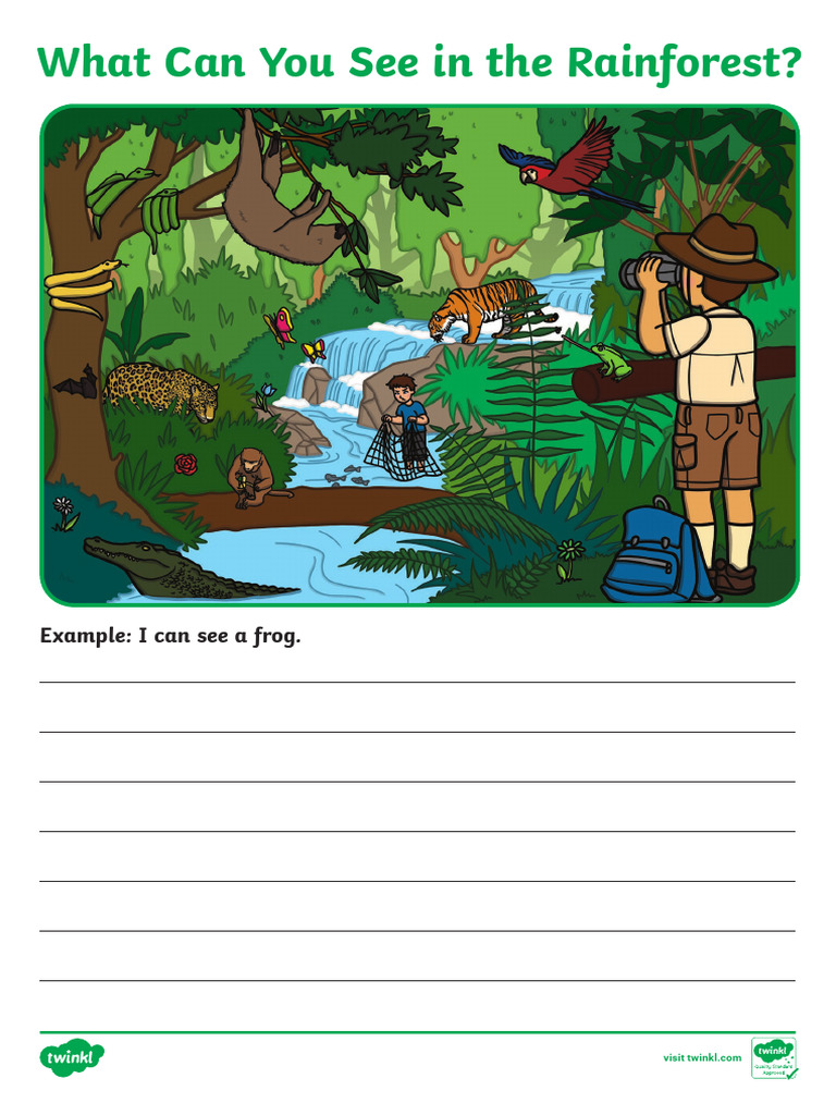 t-e-1648045662-what-can-you-see-in-the-rainforest-describing-activity ...