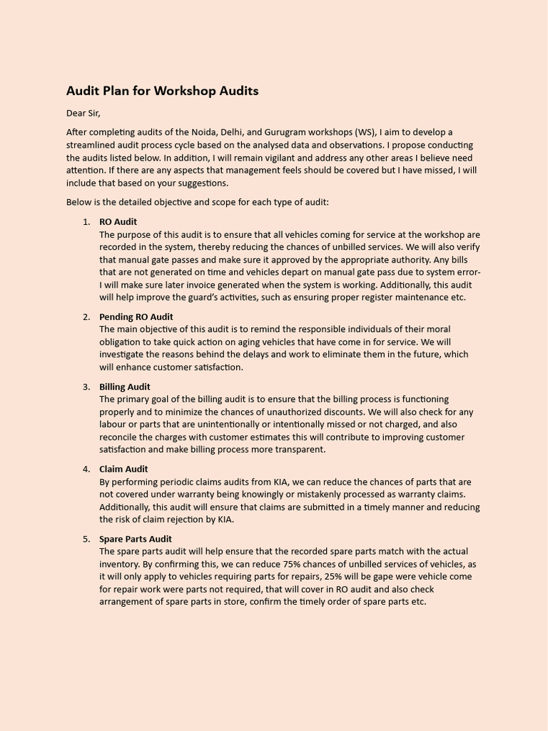 Workshop Audit Plan Overview | PDF | Audit | Business