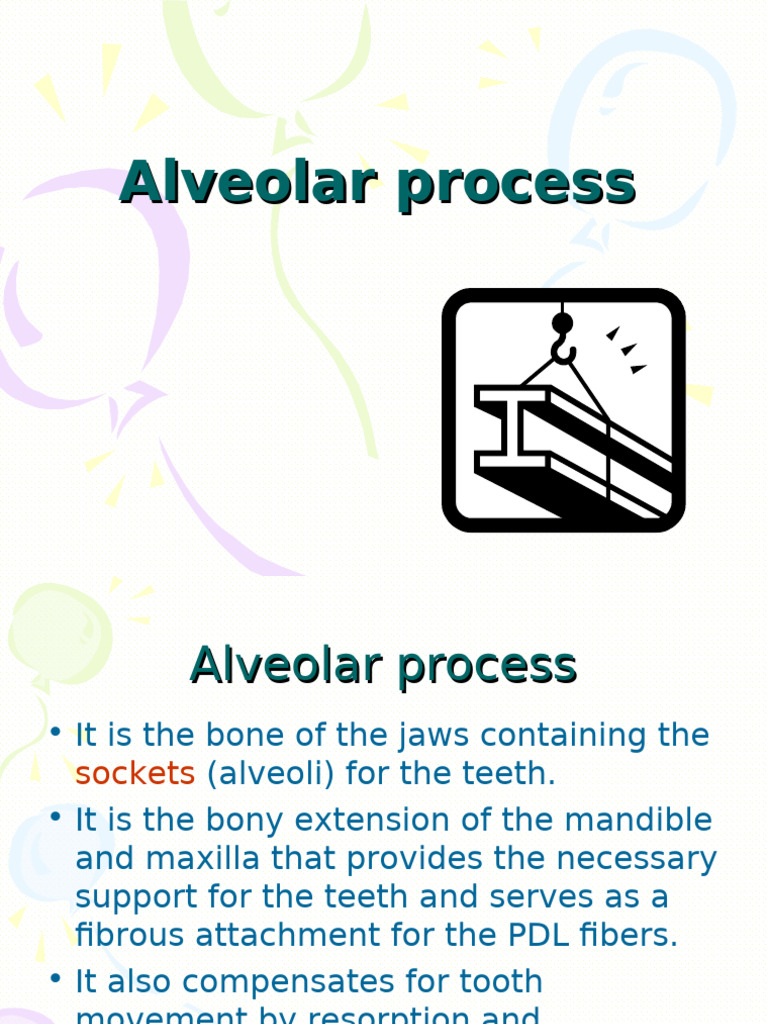alveolar bone part 1 | PDF | Bone | Osteoblast