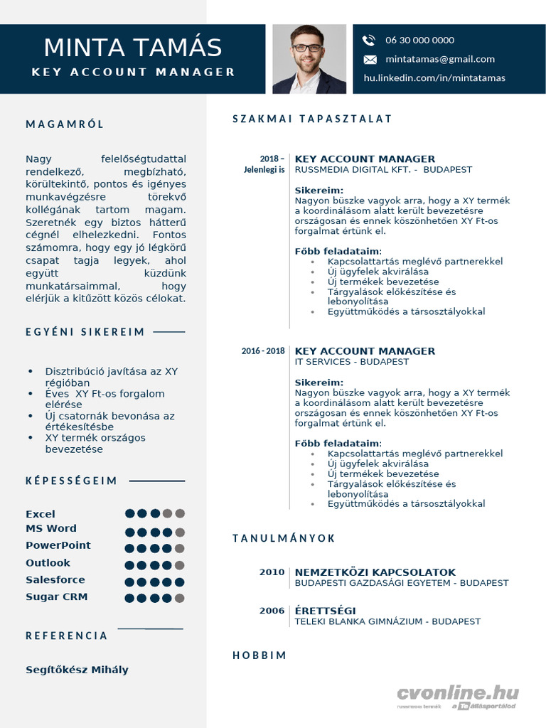 cv sablon | PDF