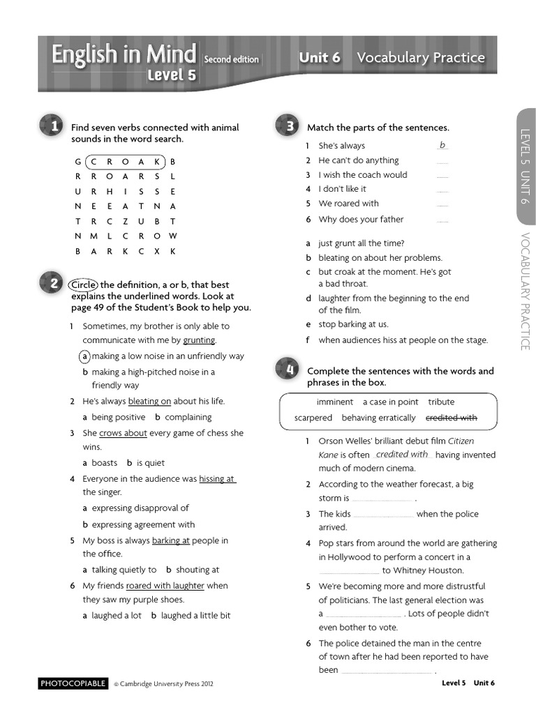English in Mind2 Level5 Unit6 Vocabulary Practice Worksheet | PDF | Linguistics | Syntax