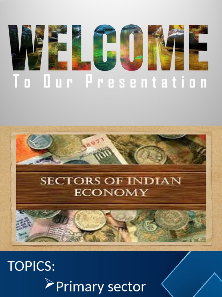 Economic Sectors Overview | PDF