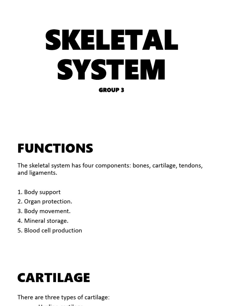 SKELETAL SYSTEM | PDF | Vertebra | Bone