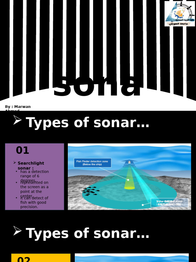 Types of Sonar Explained | PDF