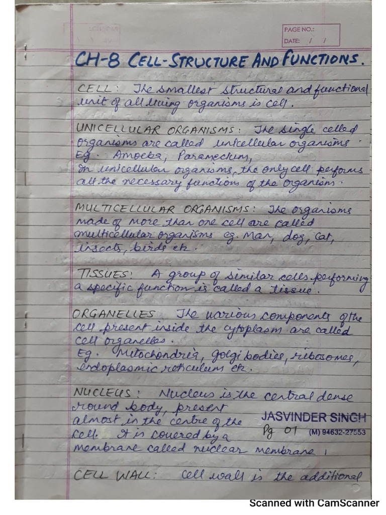 08 Cell Structure and Function | PDF