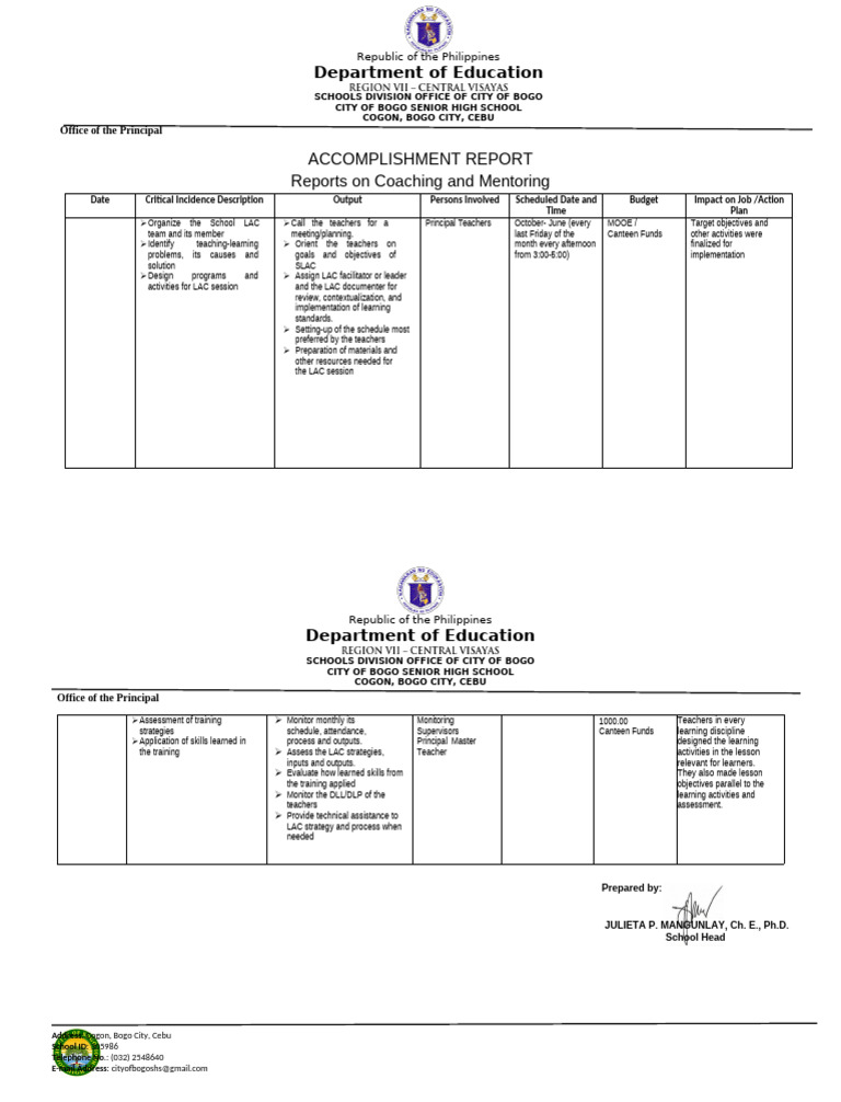 Coaching and Mentoring Report | PDF | Teachers | Mentorship
