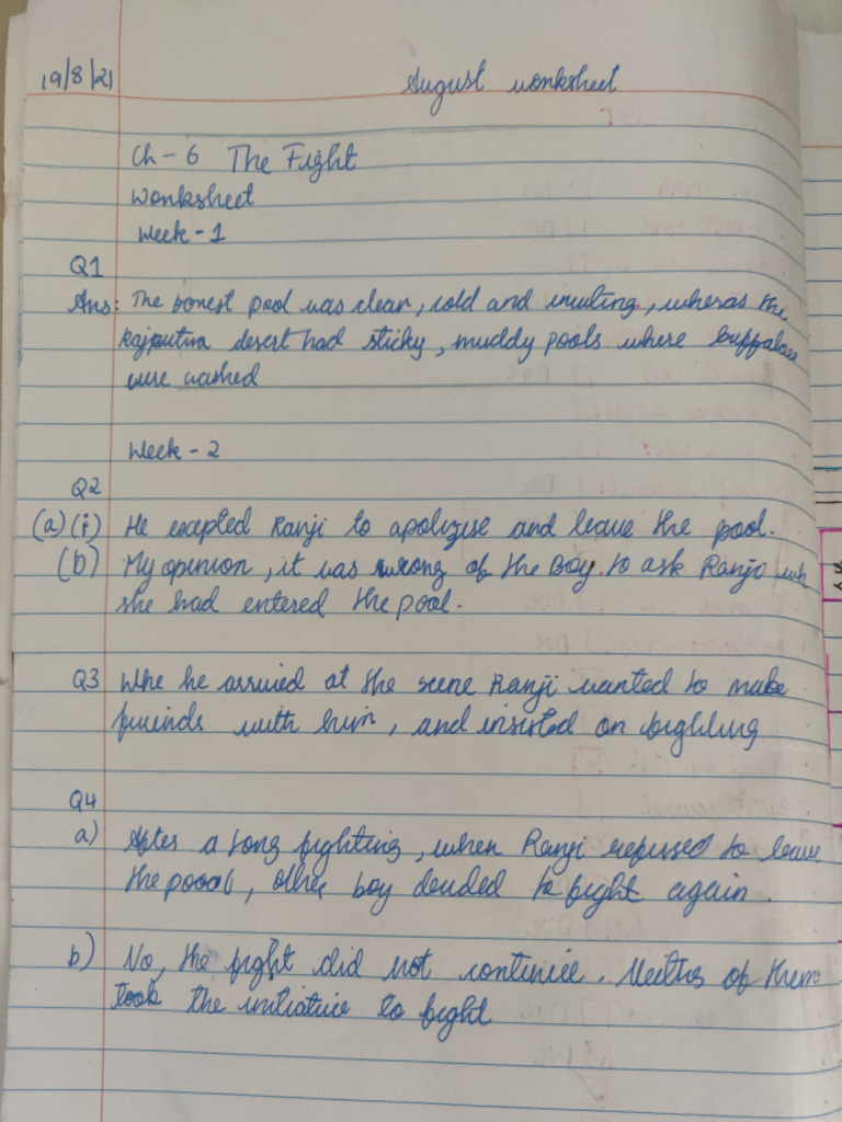 Chapter 6: The Fight Analysis | PDF