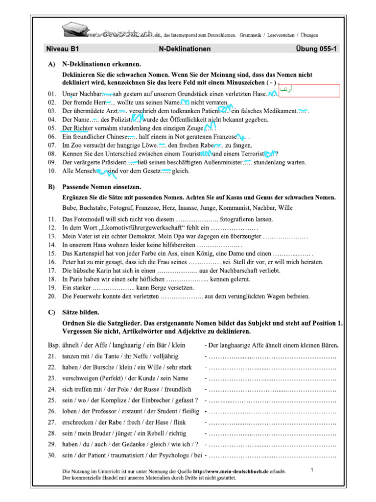 N-Deklination Aufgaben | PDF