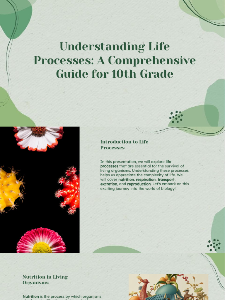 Life Processes: A Guide for Class 10 | PDF