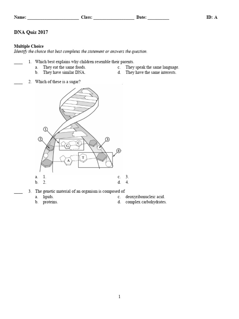 DNA Quiz: Multiple Choice Questions | PDF | Dna | Nucleotides