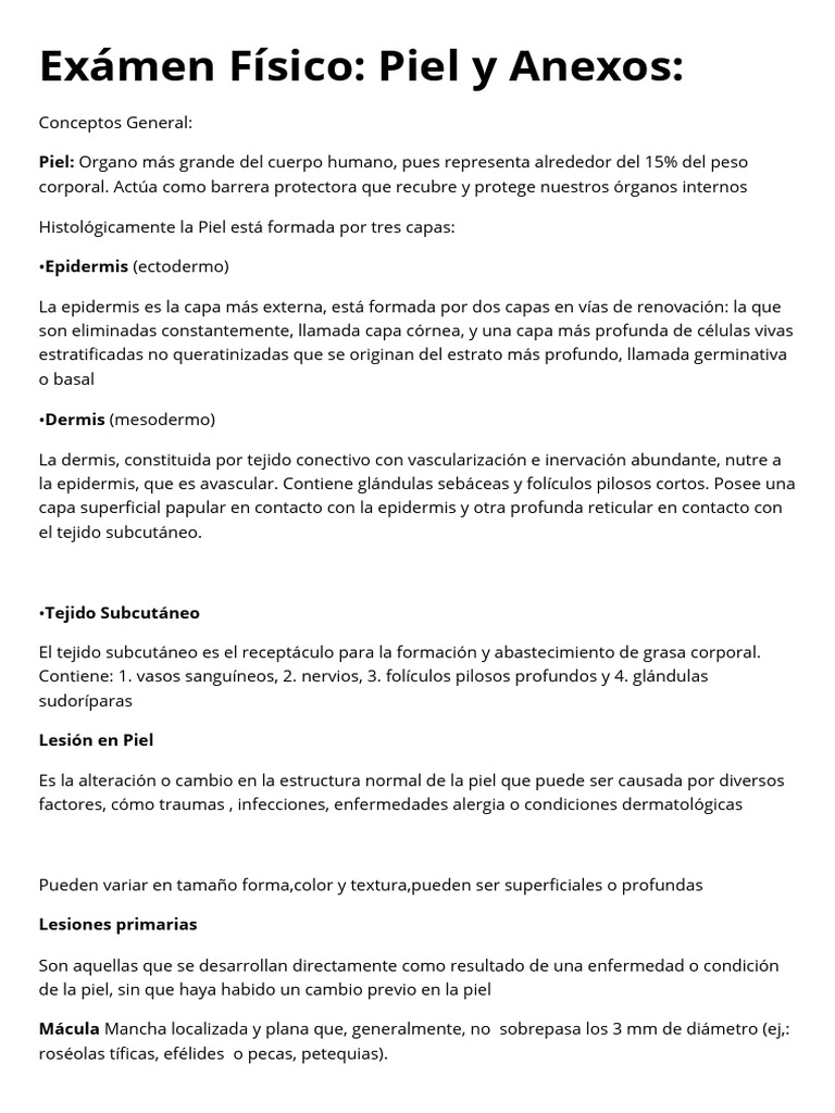 Exámen Físico Piel y Anexos - 20241027 - 010310 - 0000 | PDF | Piel | Epidermis