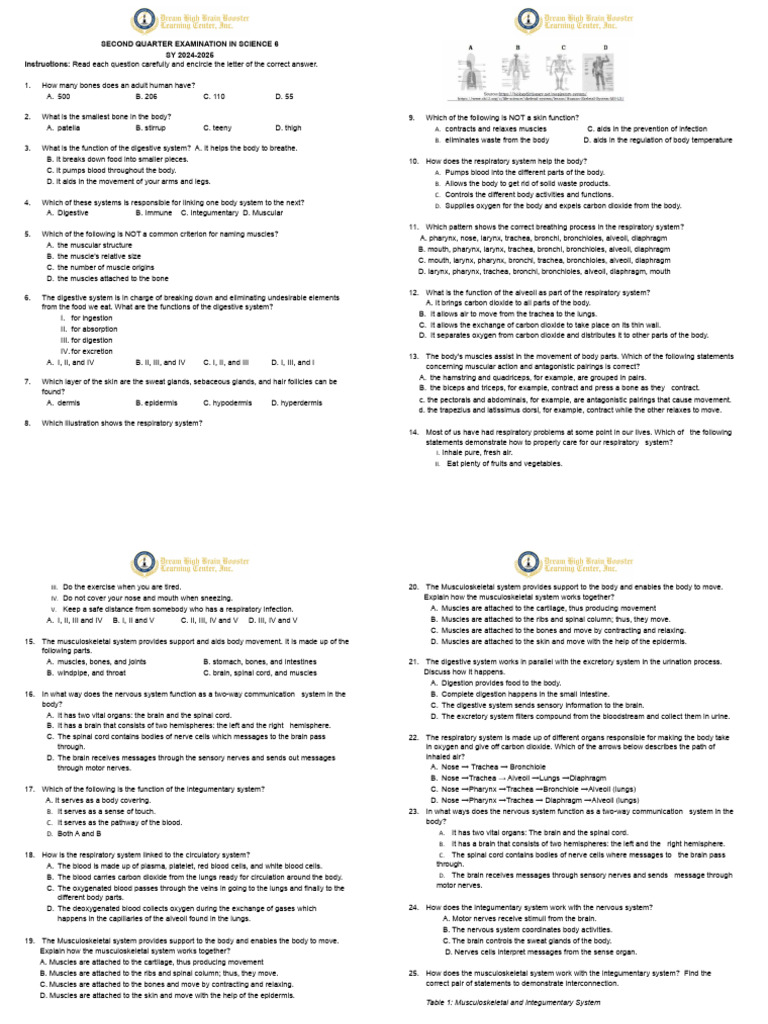 Science 6 - Q2 Printable | PDF | Human Body | Respiratory System