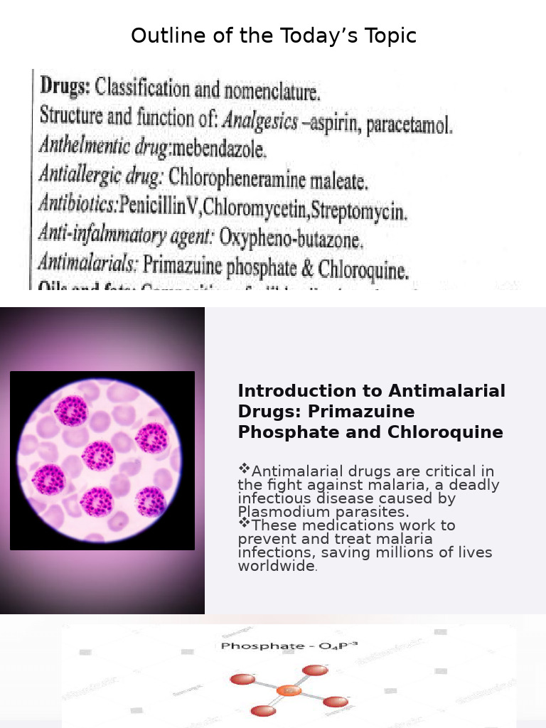 Introduction To Antimalarial Drugs | PDF | Malaria | Plasmodium
