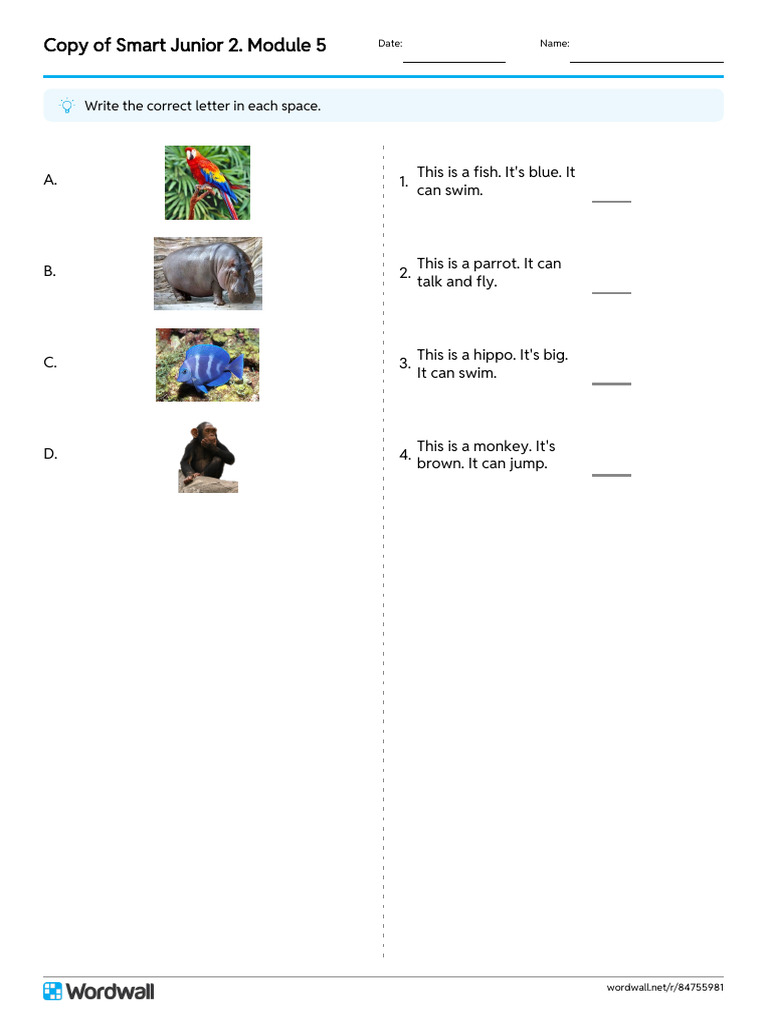 copy-of-smart-junior-2-module-5-match-up-write-the-answer | PDF