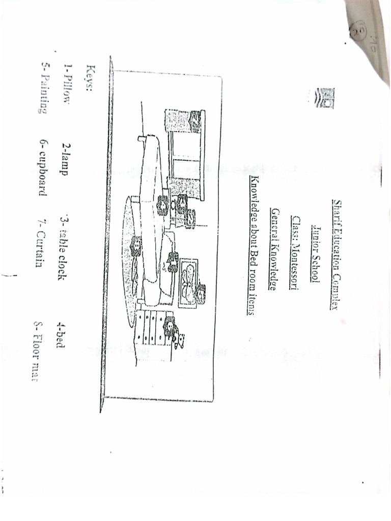 CamScanner User Guide | PDF