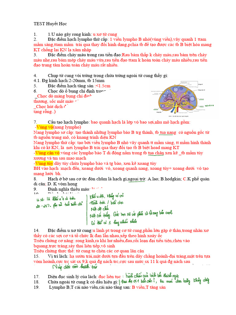 Doctor Green Bear SOS | PDF