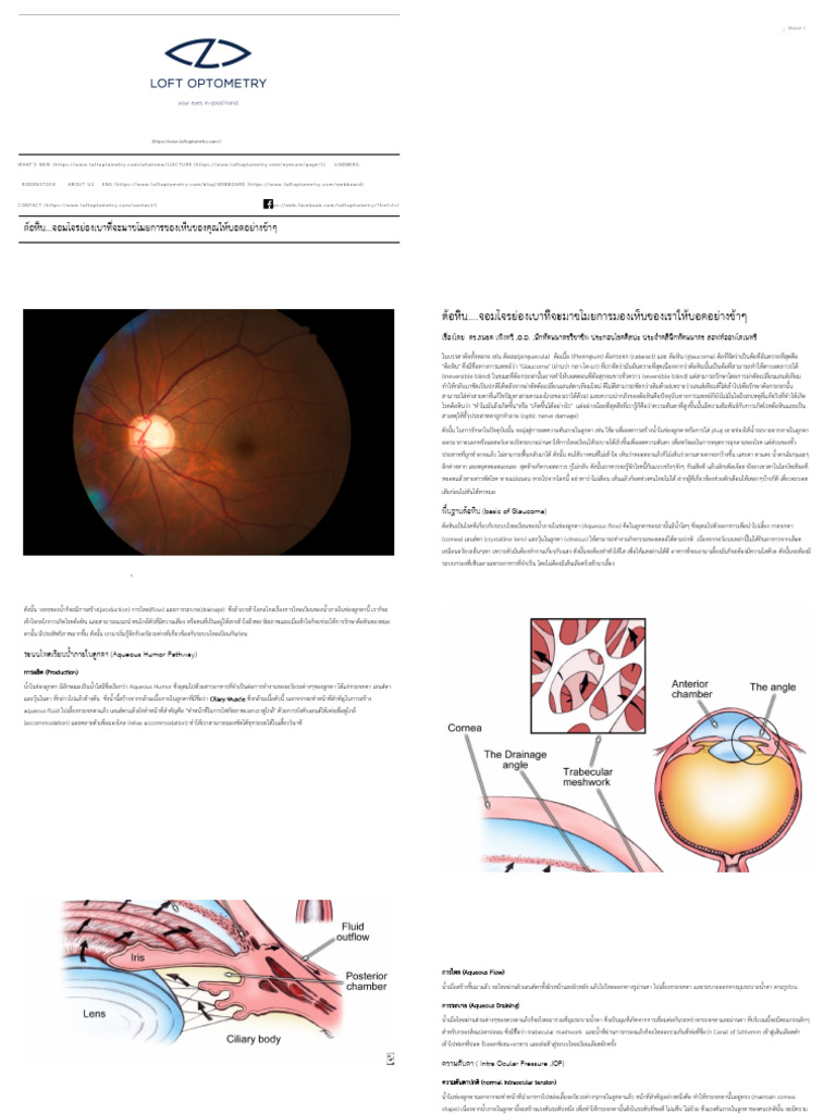 Eyecare - Loftoptometry | PDF