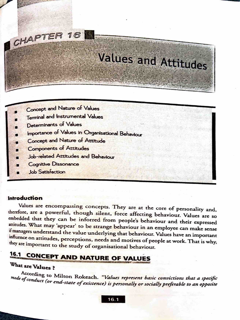 Values and Attitude Chapter 16 | PDF | Psychology | Social Psychology