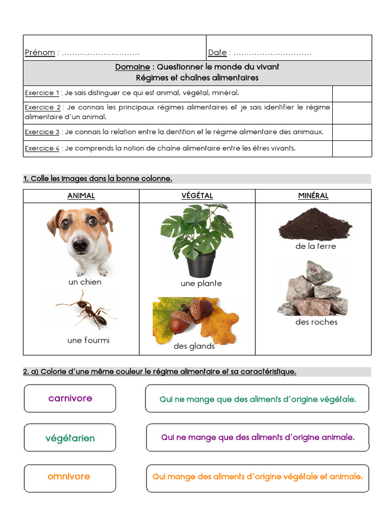 Régimes alimentaires des animaux CE1-CE2 | PDF | Végétarisme | Réseau ...