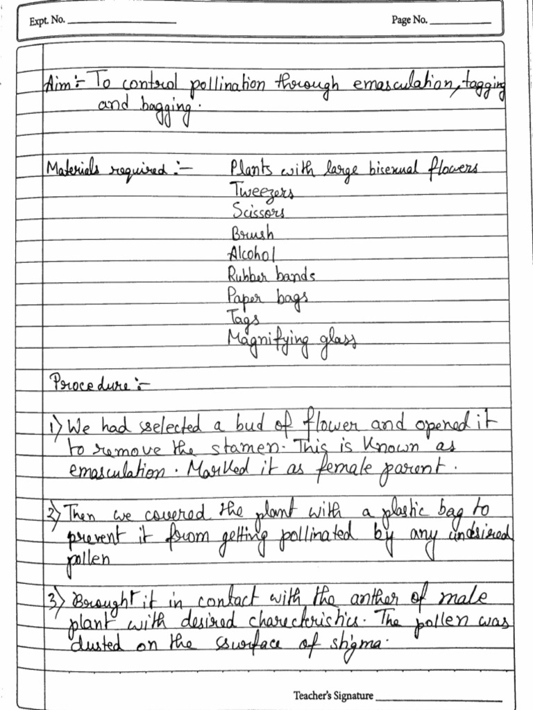 Biology Emasculation Practical | PDF