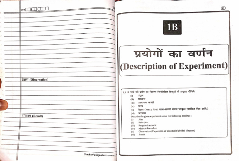 Biology Practical File - 3 | PDF