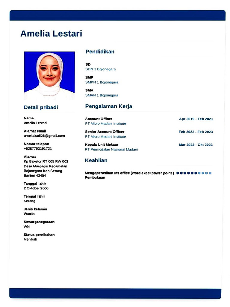 CV Amelia Lestari | PDF