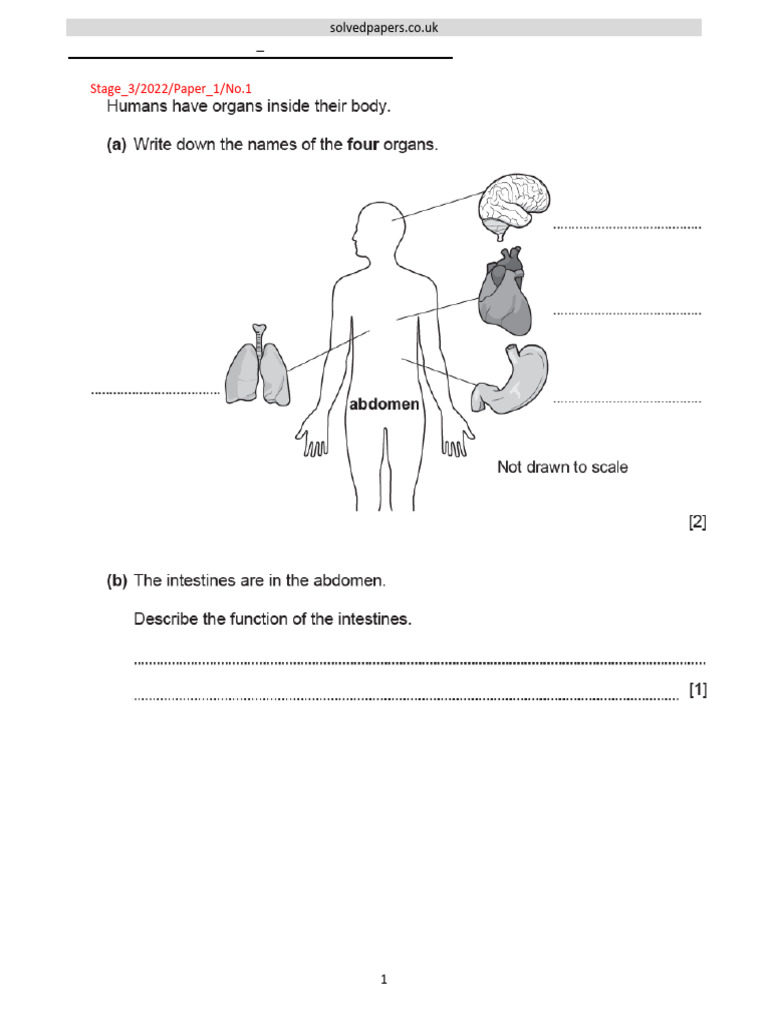 2023 - 2 Important Organs in Humans Checkpoint Primary Biology ...
