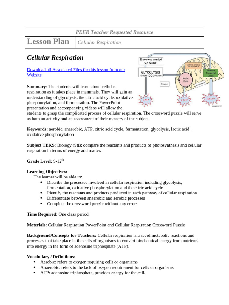 Cell Lessonplan1635 | PDF | Cellular Respiration | Adenosine Triphosphate