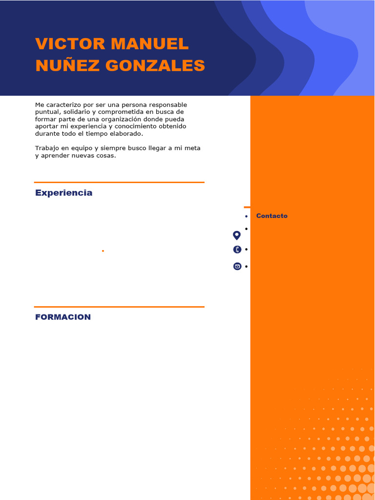 CV de Victor-1 | PDF