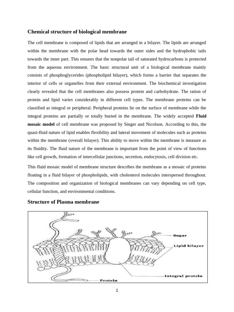 Tissue BCH note | PDF | Cell Membrane | Biological Membrane