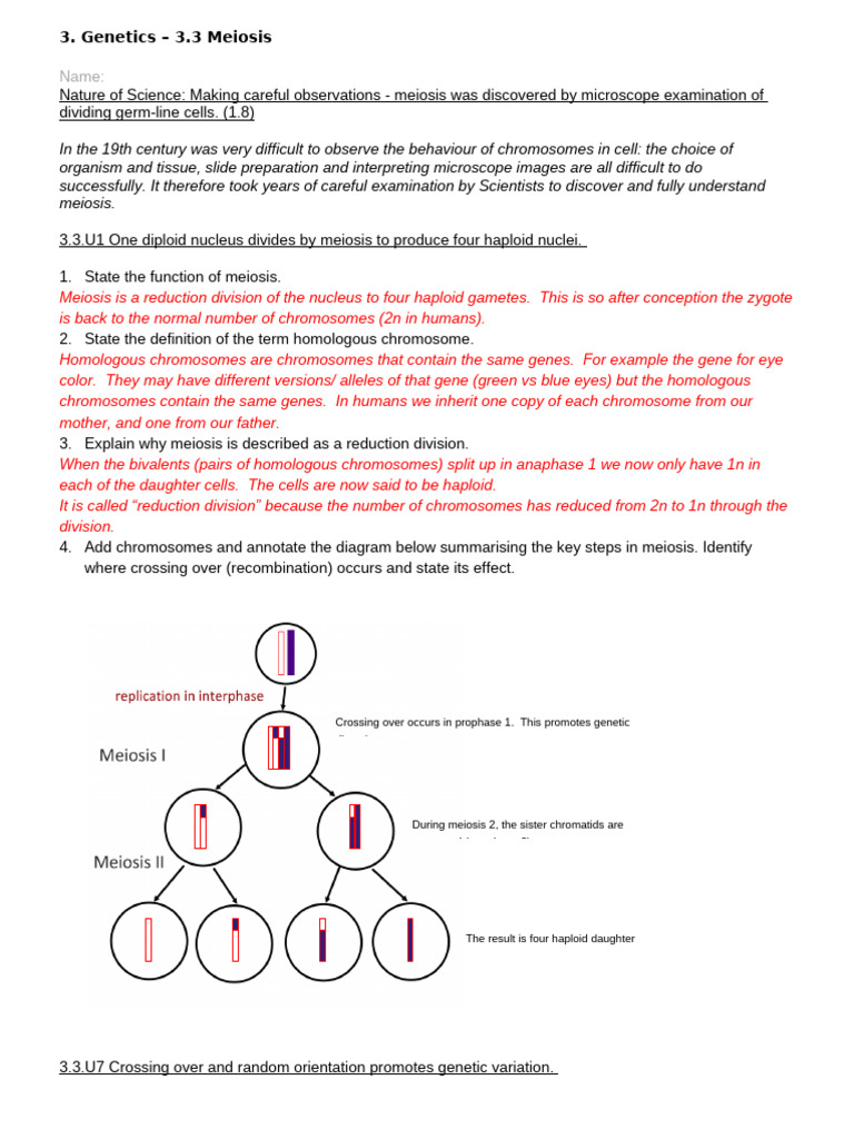3.3. Meiosis - notes answers | PDF | Meiosis | Ploidy