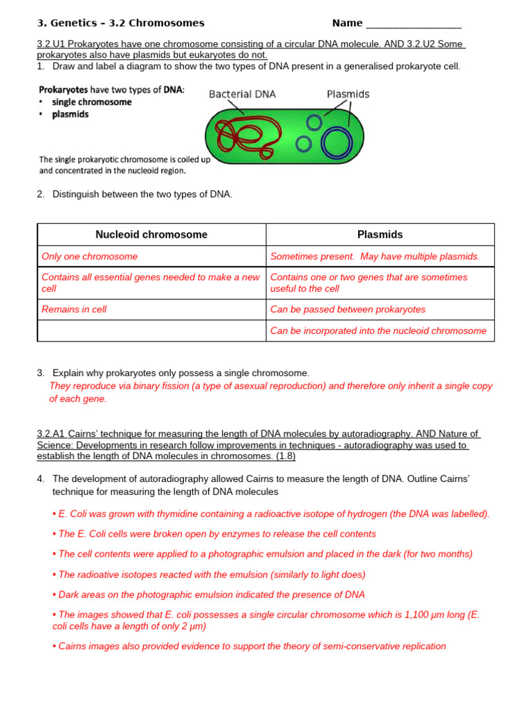 3.2. Chromosomes - Notes Answers | PDF | Ploidy | Chromosome
