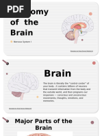 Brain Parts and Mnemonics Guide | PDF | Cerebral Hemisphere | Cerebral ...