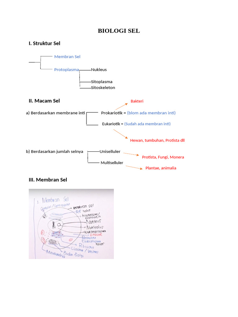 Struktur dan Fungsi Organel Sel | PDF